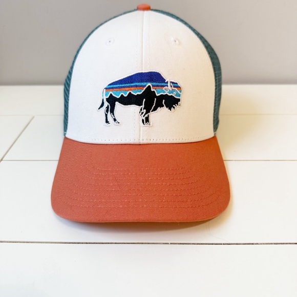 Patagonia | Accessories | Patagonia Fitz Roy Bison Lopro Trucker Hat ...